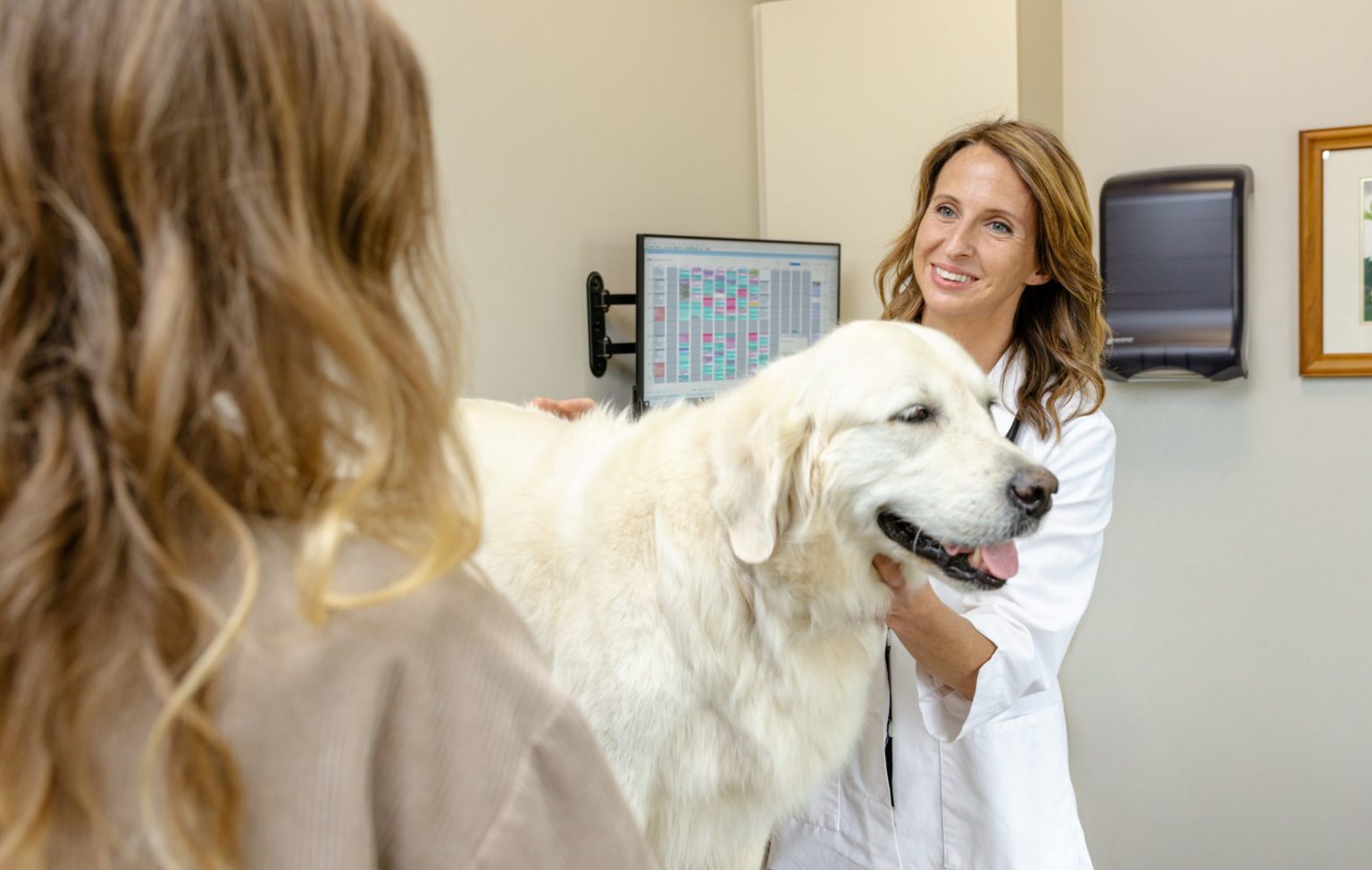 Beat the Bugs: Protecting Your Pets from Fleas, Ticks & Mosquitoes ...