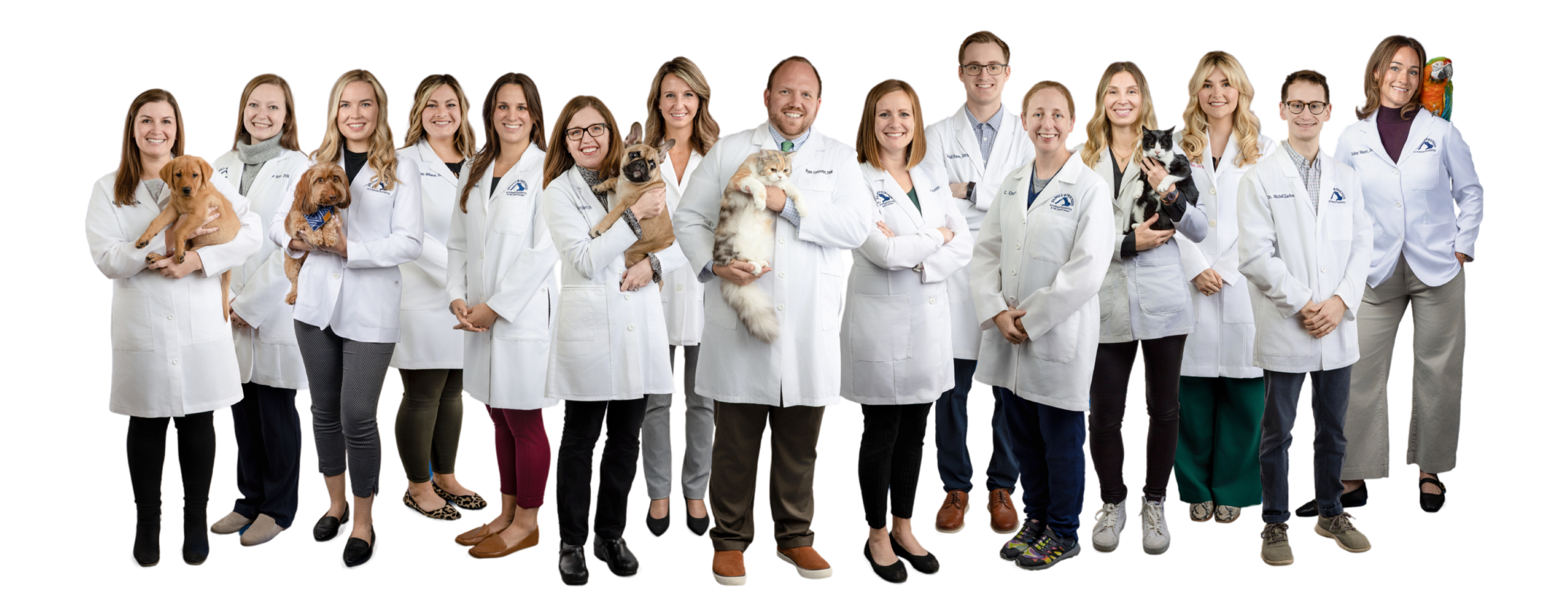 How to Tell If Your Dog or Cat Is in Pain: Signs, Symptoms, and When to ...